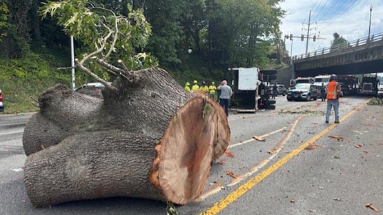 Richmond | Landscaping truck hauling tree stumps strikes I-95 bridge